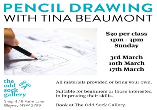 Pencil Drawing with Tina Beaumont - Blayney Council